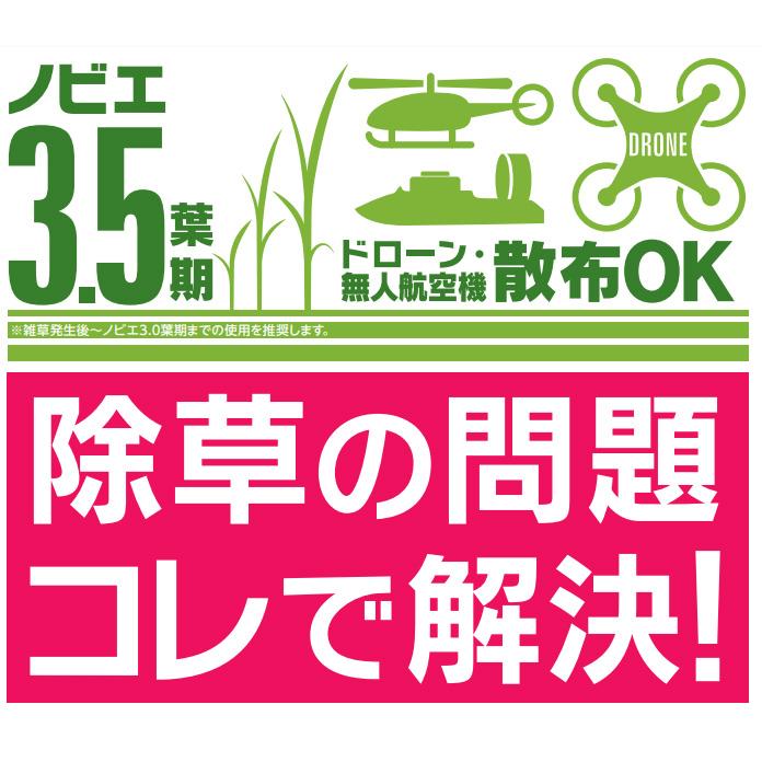 水田除草剤 水稲用除草剤 ジャンダルムMX豆つぶ250 250g 水田 雑草対策 農薬 薬剤 : エスエスネット - 通販 - Yahoo!ショッピング