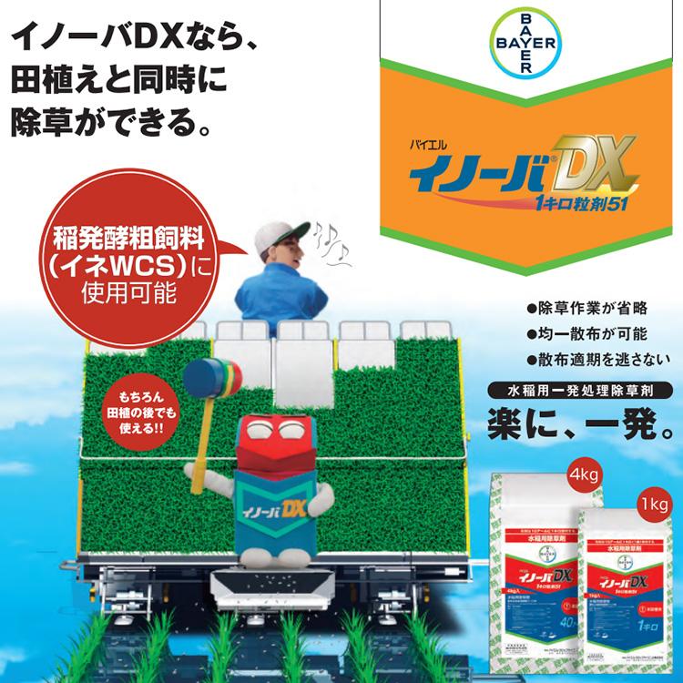 除草剤 イノーバDX 1キロ粒51 1kg 水稲用 一発処理除草剤 農薬 薬剤【2025年10月期限切れ】 : エスエスネット - 通販 - Yahoo!ショッピング