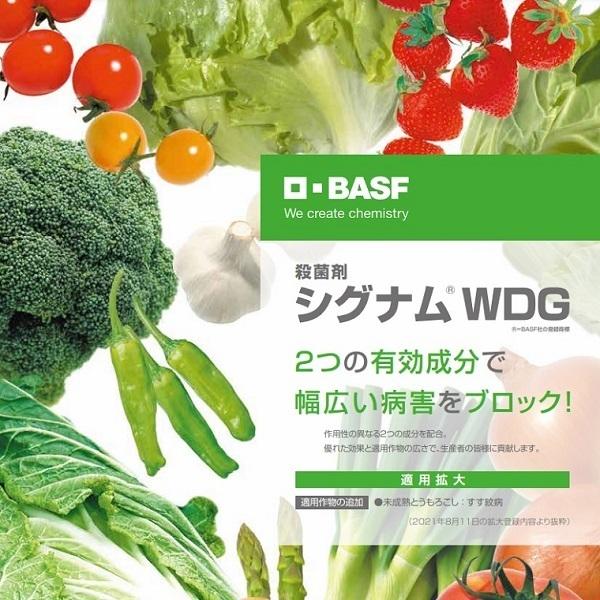 殺菌剤 シグナムWDG 333g 粒剤 病害予防 対策 灰色腐敗病 灰色かび病 菌核病 べと病 さび病 野菜 菜園 防除剤 農薬 農作物 BASF : S.S net - 通販 - Yahoo ...