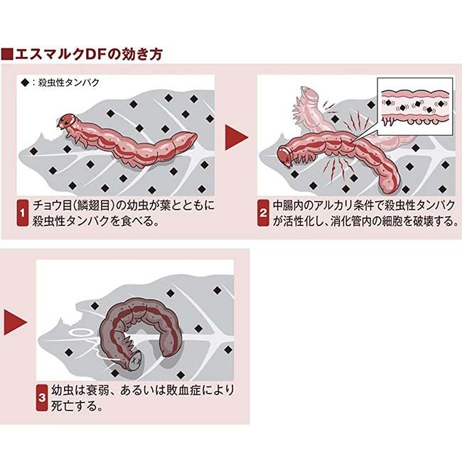 殺虫剤 エスマルクDF 500g ハマキムシ類 シャクトリムシ類 ケムシ類 害虫対策 駆除 防除 農薬 薬剤 住友化学 : S.S net - 通販 - Yahoo!ショッピング