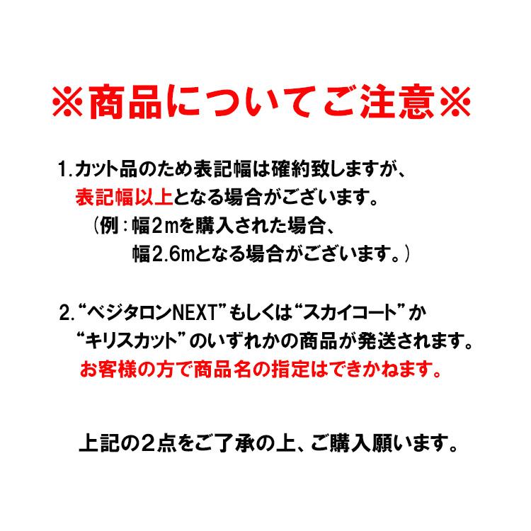 農POフィルム POフィルム 厚さ0.1mm 長さ10m 幅3m ベジタロンnext スカイコート キリスカット 農業用 ビニールハウス ビニールトンネル : S.S net - 通販 ...