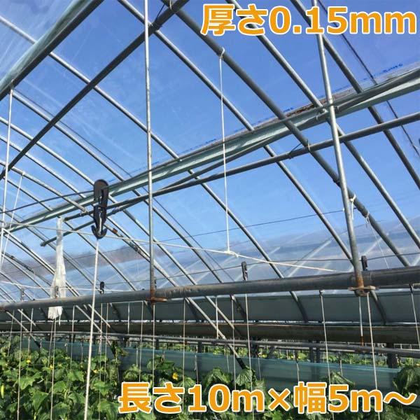 農POフィルム POフィルム バツグン5 厚さ0.15mm 長さ10m 幅5m 農業用 ビニールハウス 自作 温室 ビニールトンネル トンネル栽培 家庭菜園 : S.S net - 通販 ...