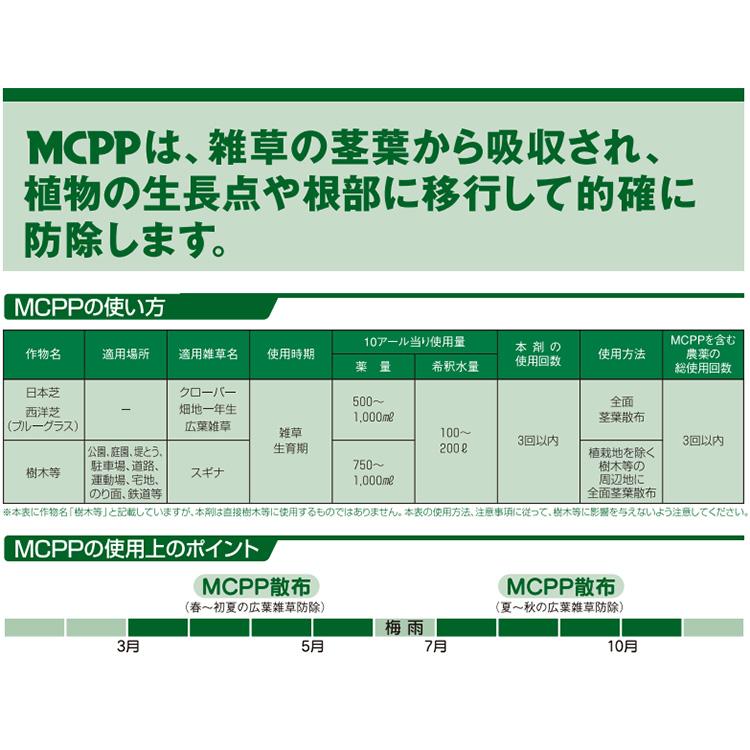 芝生 緑地管理除草剤 MCPP液剤 500ml 日本芝 西洋芝 ブルーグラス 農薬 薬剤【2024年10月期限切れ】 :vrd-4545007-000166:S.S net - 通販 ...