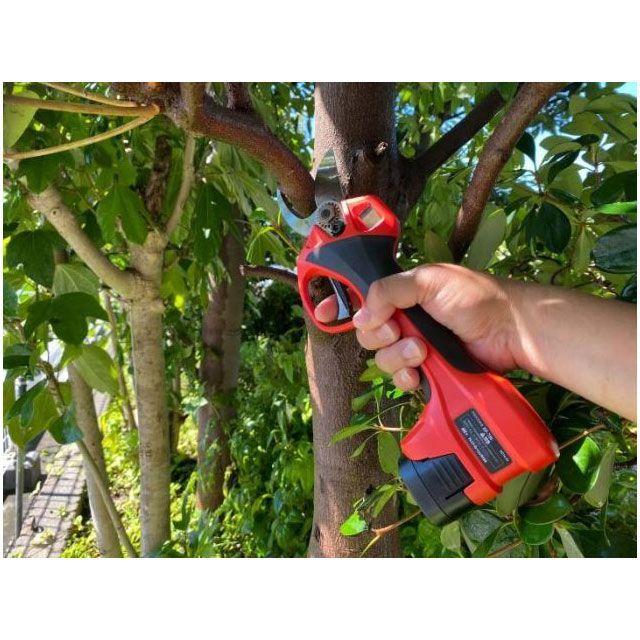 アルス ARS D.I.Y. EP-720 コードレス充電式剪定鋏 日用品 : パークアップバイクYahoo!店 - 通販 - Yahoo!ショッピング