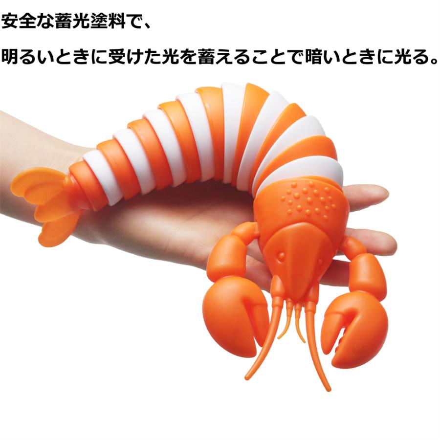 蓄光おもちゃ 伊勢海老型 蓄光商品 蓄光おもちゃ ストレス解消 子供おもちゃ 誕生日ギフト プレゼント 知育おもちゃ 送料無料 ...