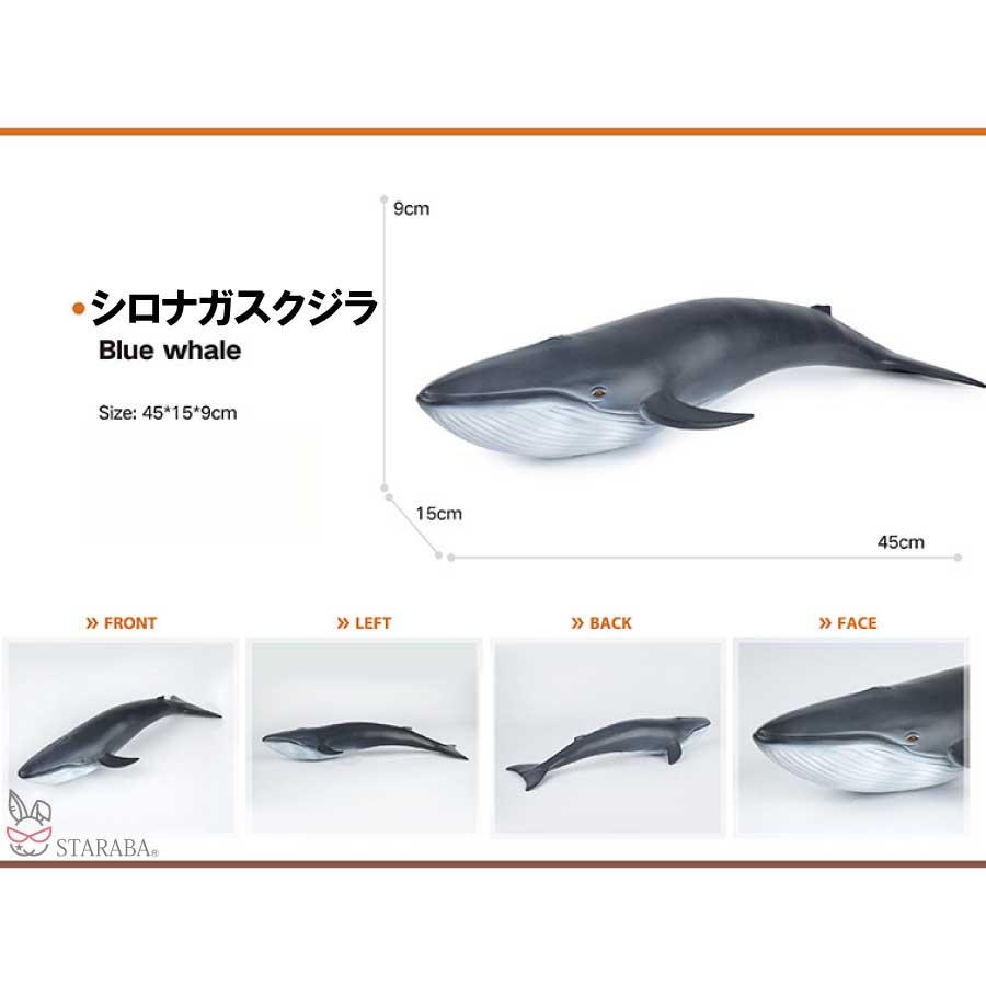 大型 フィギュア 海洋動物 北極動物 ホオジロザメ マッコウクジラ シュモクザメ シロナガスクジラ ペンギン 生物 魚類 プレゼント インテリア 送料無料 : STARABA - 通販 ...