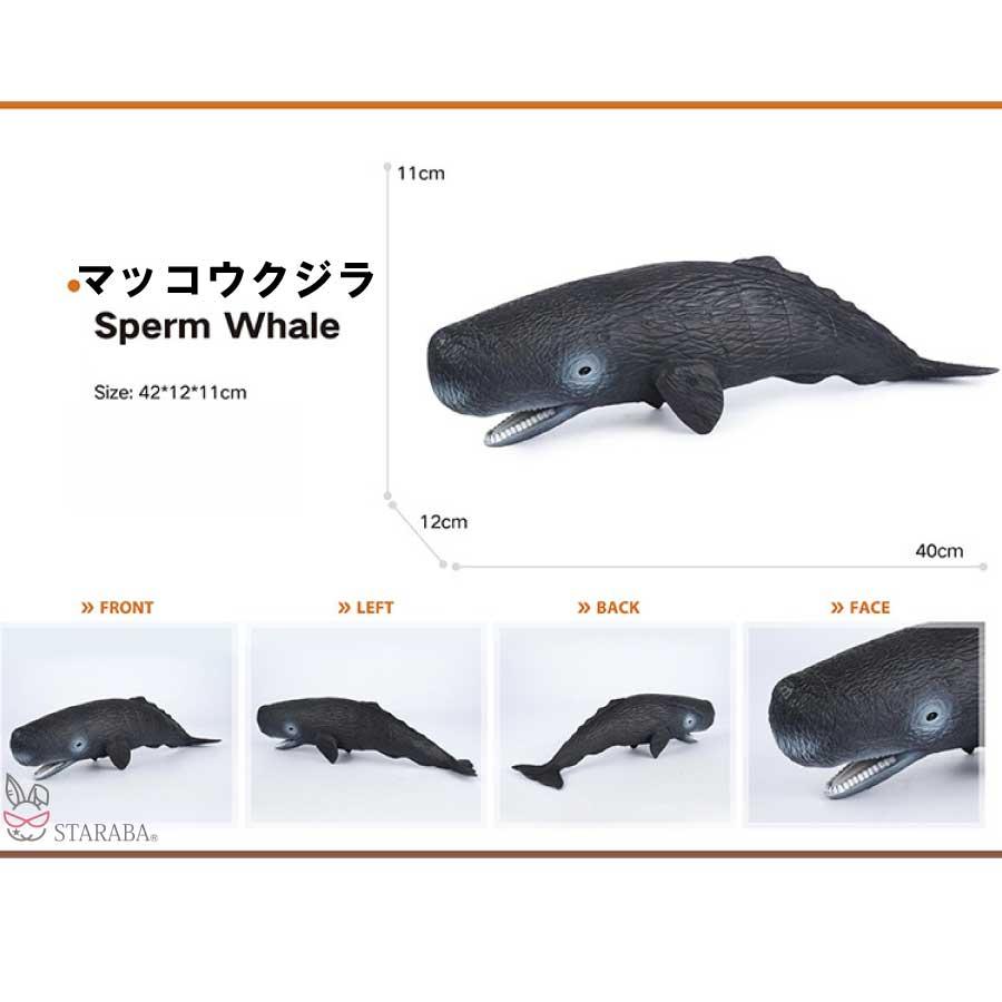 大型 フィギュア 海洋動物 北極動物 ホオジロザメ マッコウクジラ シュモクザメ シロナガスクジラ ペンギン 生物 魚類 プレゼント インテリア 送料無料 : STARABA - 通販 ...