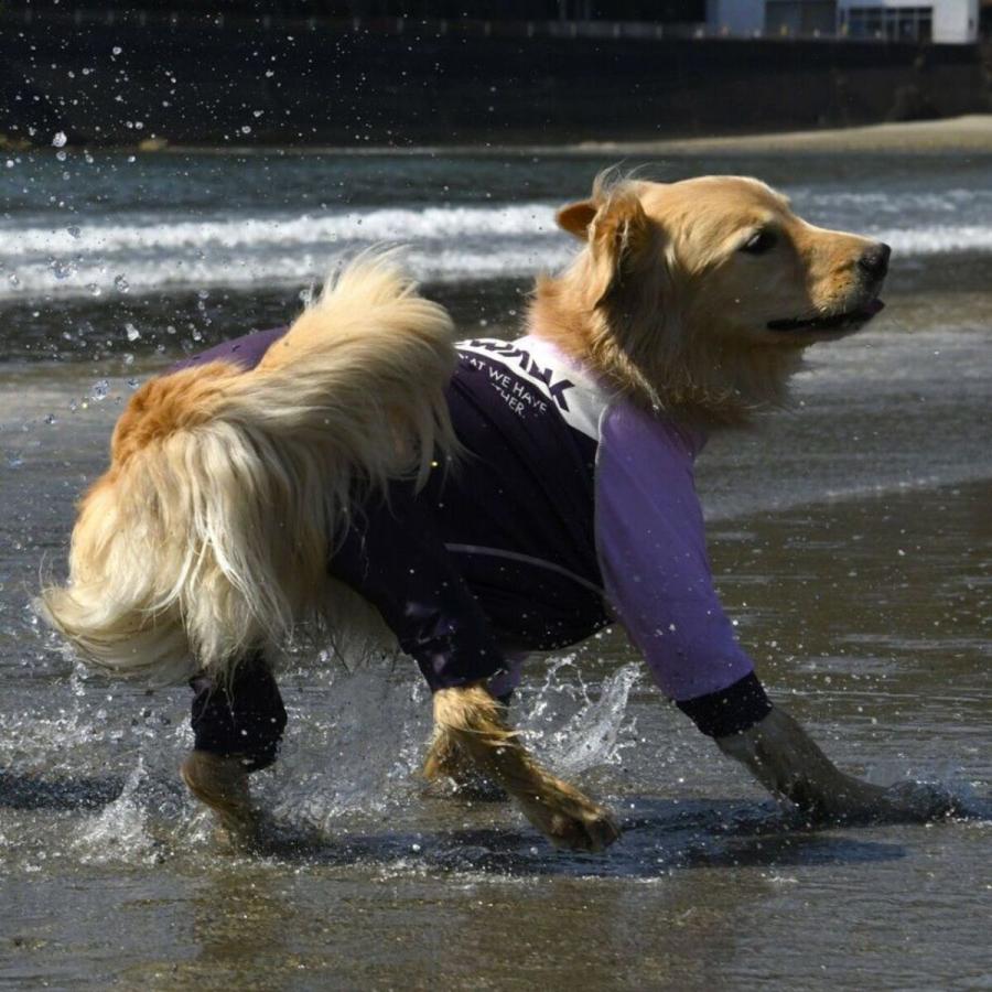 GEWALK ジウォーク トリコロールプリント プロテクト ストレッチ ロンパース 3XLサイズ ラッシュガード ドッグウェア＊在庫限り＊ : STARRY - 通販 - Yahoo!ショッピング