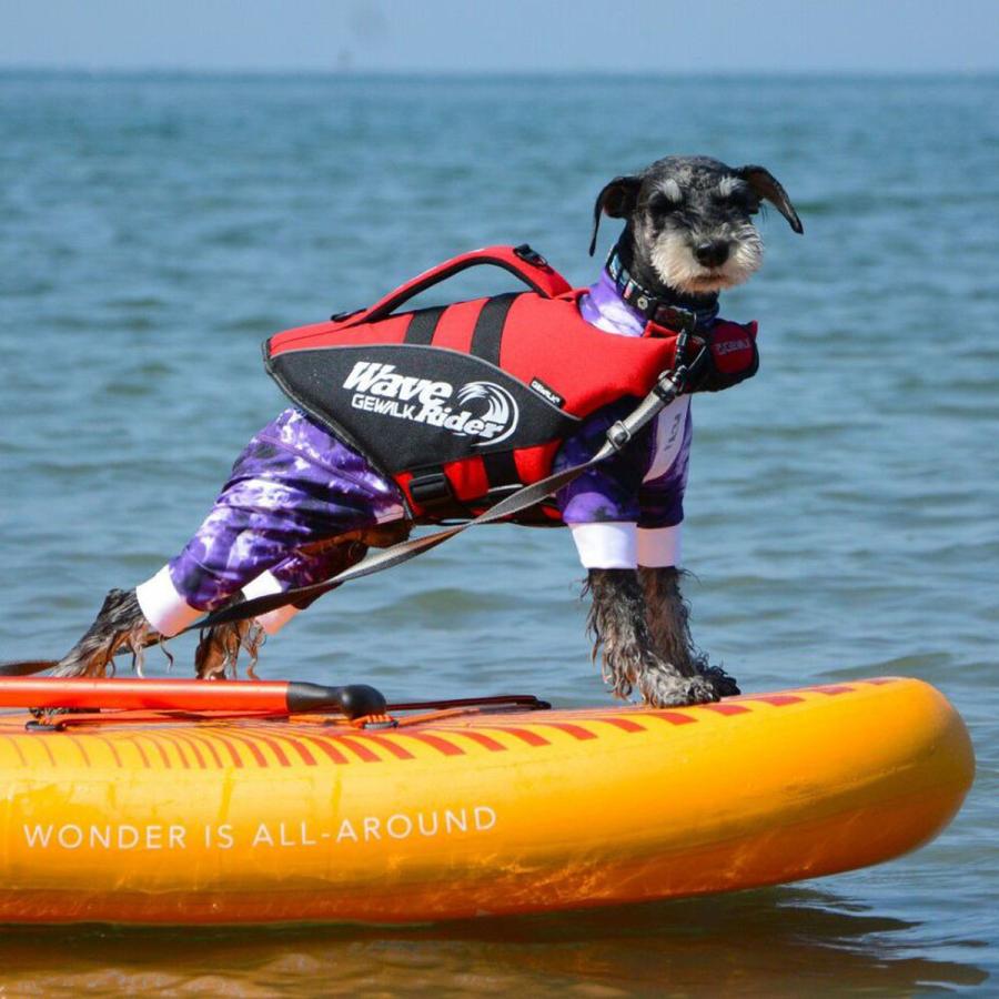 GEWALK ジウォーク 2025年モデル マーブル プリント プロテクト ストレッチ ロンパース M,2M,3Mサイズ 小型犬 ラッシュガード ドッグウェア : STARRY - 通販 ...