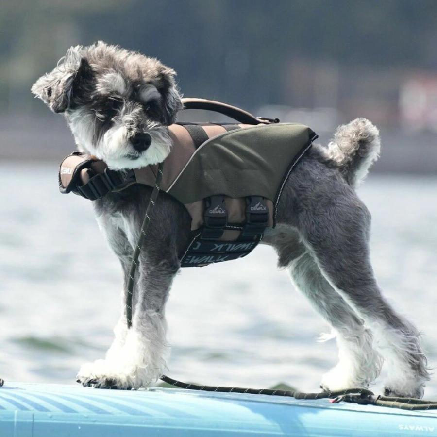 GEWALK ジウォーク 2025年モデル ウェーブライダー エコ Sサイズ 小型犬 ライフジャケット ライフベスト ドッグウェア ペット サイズ交換対応 : STARRY - 通販 ...