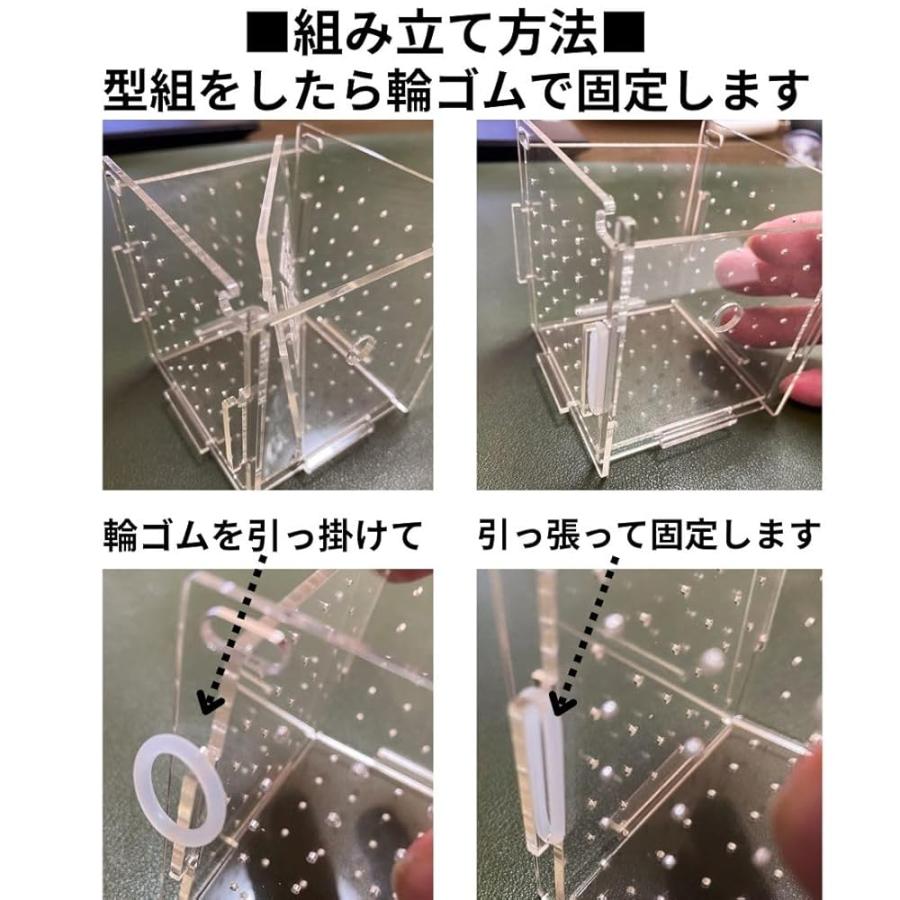 スタートサイド 稚魚 水槽内用 繁殖隔離ボックス 隔離吸盤付きケース プチ隔離 アクリル透明 メダカ グッピー 産卵箱 水槽 透明 クリア 8×8cm 2個 : 1148-001282 ...