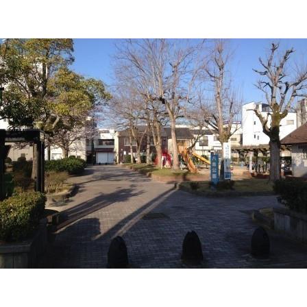 姫巻物 書画用 486-81 メール便（クリックポスト）発送対応品 : 文具のしまSP - 通販 - Yahoo!ショッピング