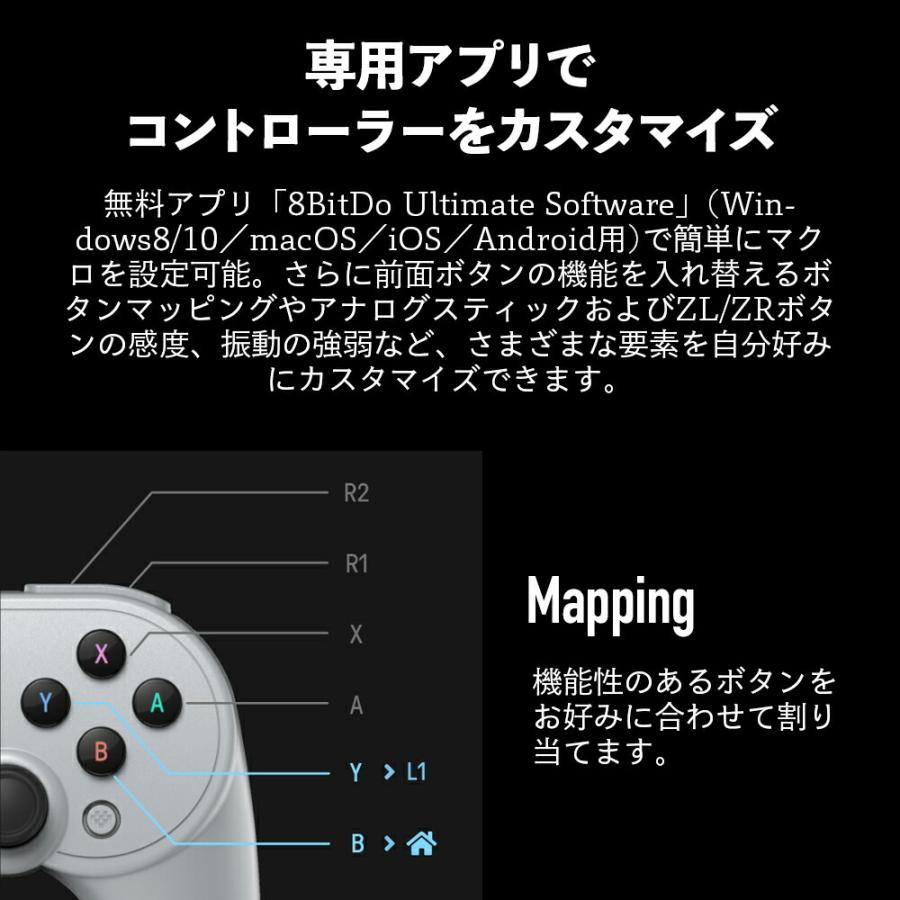 8Bitdo Pro2 プロ2 Bluetooth Controller ワイヤレス 無線 有線 1ヶ月保証 ゲームコントローラー マクロ設定 : GRANTZ ONE - 通販 ...