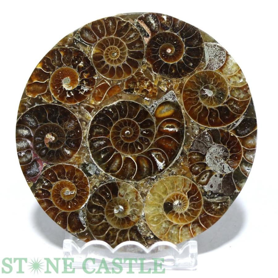石流通センター 一点物 天然石 化石 アンモナイト (プレート) 約80mm No.48 パワーストーン : fb11eka088-48 : 石流通センター - 通販 - Yahoo!ショッピング