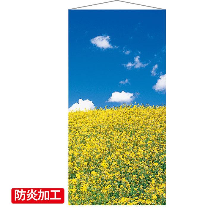 ストア・エキスプレス タペストリー 菜の花 1枚_43-24-3-1_8797-7731 : ストア・エキスプレス-業務用店舗什器 - 通販 - Yahoo!ショッピング