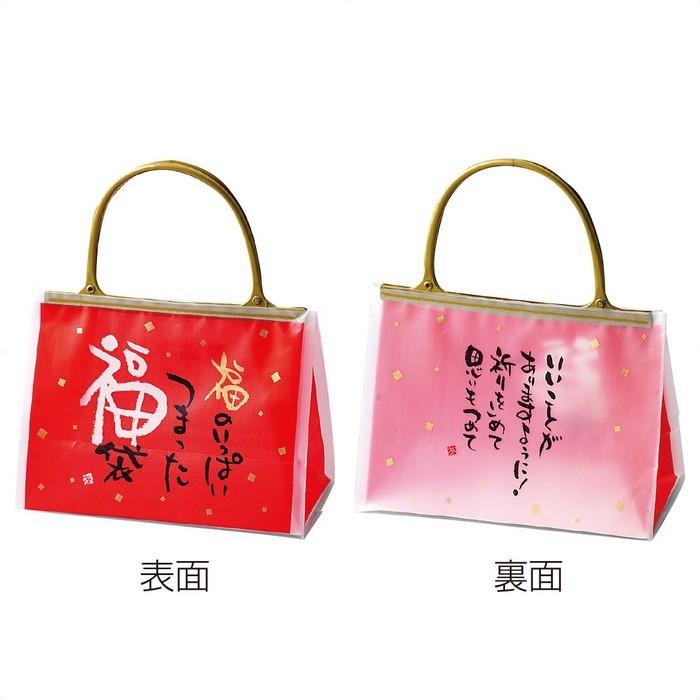 ストア・エキスプレス 【20枚入り】福袋 ミニフロストバッグ 20×10×15_48-158-3-1_7412-1549 : ストア・エキスプレス-業務用店舗什器 - 通販 - Yahoo ...