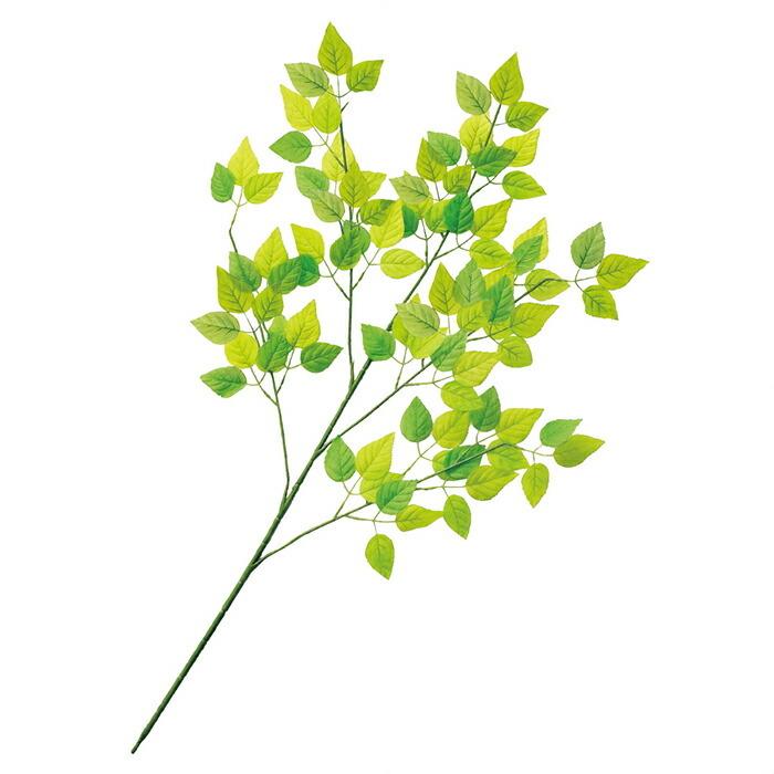 ストア・エキスプレス 【6本セット】グリーンリーフ 大枝_55-24-10-2_8797-6425 : ストア・エキスプレス-業務用店舗什器 - 通販 - Yahoo!ショッピング