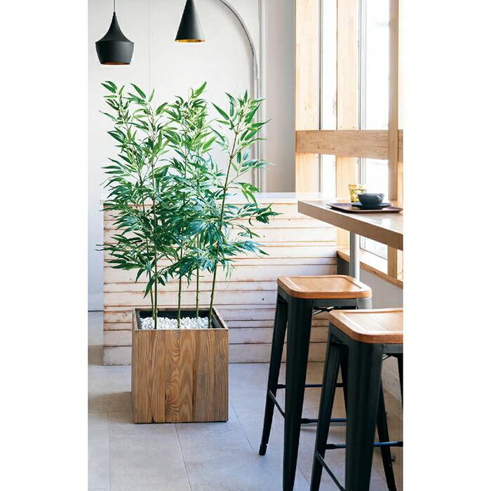 ストア・エキスプレス 七夕 笹 造花 装飾_ジャンボ竹 1本_55-2-4-1_7890-5099 : ストア・エキスプレス-業務用店舗什器 - 通販 - Yahoo!ショッピング