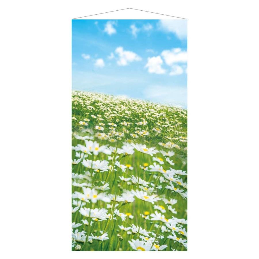 ストア・エキスプレス タペストリー おしゃれ 大判 風景_タペストリー マーガレット [防炎加工] 1枚_43-24-7-1_8305-6380 : ストア・エキスプレス-業務用店舗什器 ...