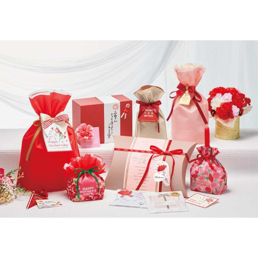 ストア・エキスプレス ラッピング 袋 ギフト かわいい_【50枚入り】テープ付きOPPギフトバッグ 母の日ブーケ_43-50-5-1_36112-2672 : ストア・エキスプレス-業務用店舗 ...