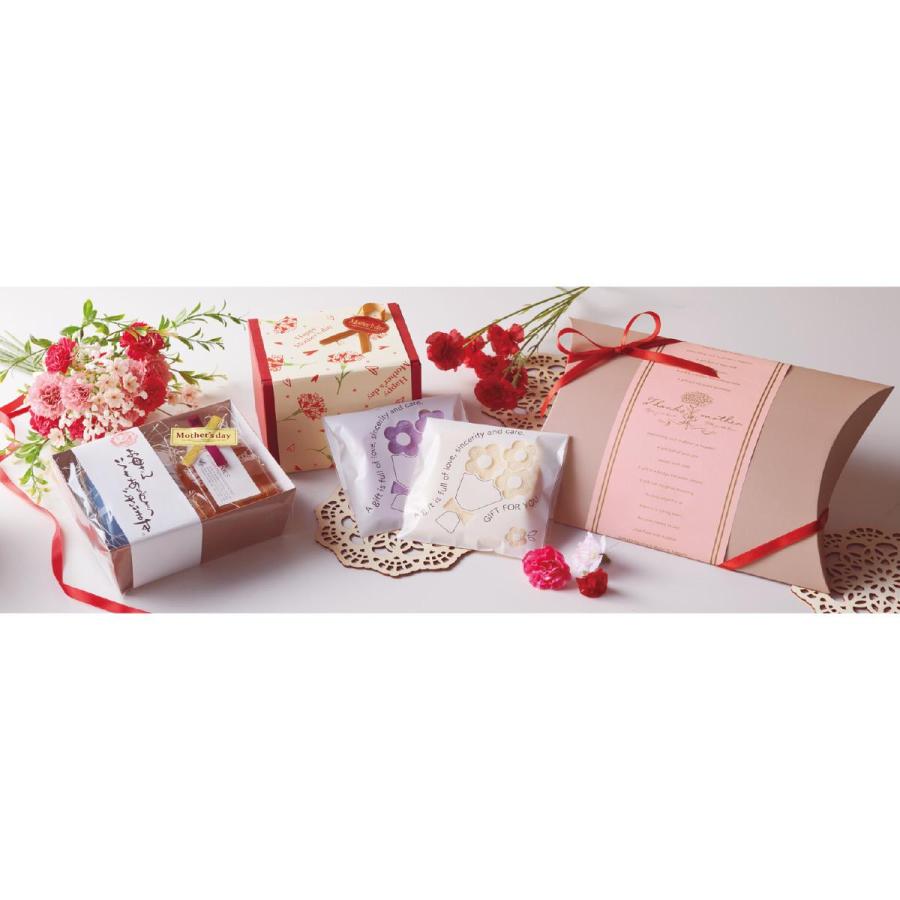 ストア・エキスプレス ラッピング 袋 ギフト かわいい_【50枚入り】テープ付きOPPギフトバッグ 母の日ブーケ_43-50-5-1_36112-2672 : ストア・エキスプレス-業務用店舗 ...