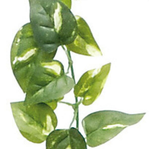 ストア・エキスプレス グリーンガーランド 180cm イングリッシュアイビーガーランド 1本_61-789-71-1_8186-101 : ストア・エキスプレス-業務用店舗什器 - 通販 ...