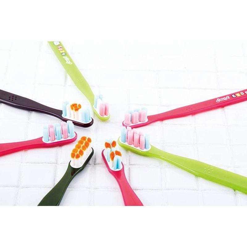 ルクスリエンコソフト歯ブラシ(スタンダード) 088-06-005 : ストレージリク - 通販 - Yahoo!ショッピング