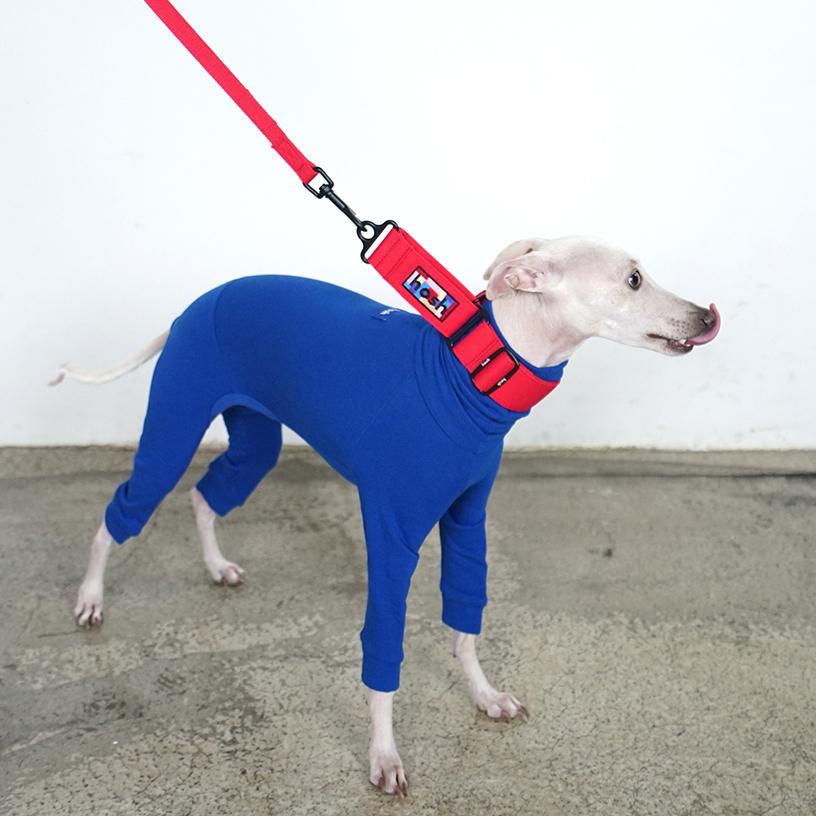 hosh イタグレ ミニピン チョーク型 ドッグカラー 犬 首輪 インポート ドッグウェア 海外ブランド レッド ブルー Primary Collar : SS MARKET&THE GIFT ...