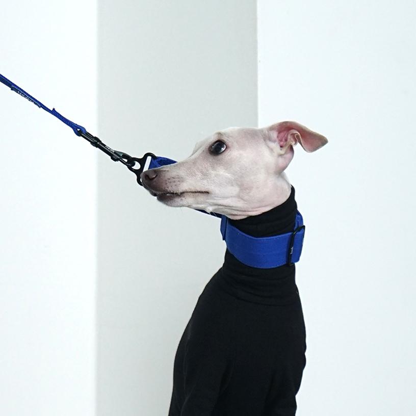 hosh イタグレ ミニピン チョーク型 ドッグカラー 犬 首輪 インポート ドッグウェア 海外ブランド レッド ブルー Primary Collar : hosh06 : SS MARKET ...