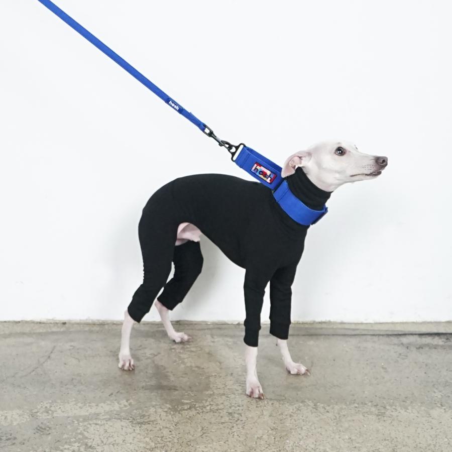 hosh イタグレ ミニピン ドッグリード 犬 お散歩 首輪 セットで使える インポート 海外ブランド レッド ブルー iggy Primary Leash : SS MARKET&THE ...