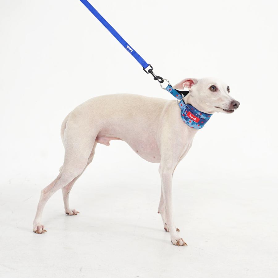 hosh イタグレ ミニピン カモ ドット 柄 チョーク型 ドッグカラー メッシュ 犬 首輪 インポート ドッグウェア 海外ブランド ブルー レッド Camo Collar Dot : SS ...