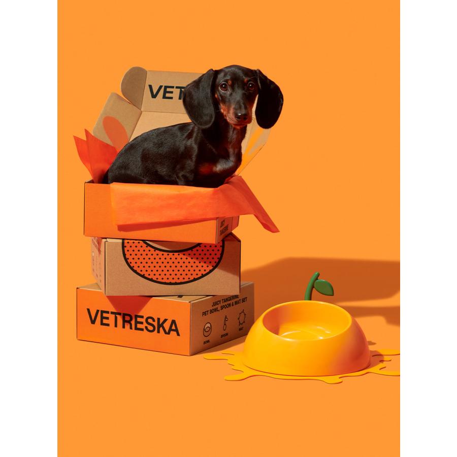 VETRESKA ベトレスカ ジューシータンジェリン ペットボウル スプーン マット 3点セット 犬猫 ペット用品 デザイナーズ 海外取寄 JUICY TANGERINE PET BOWL ...