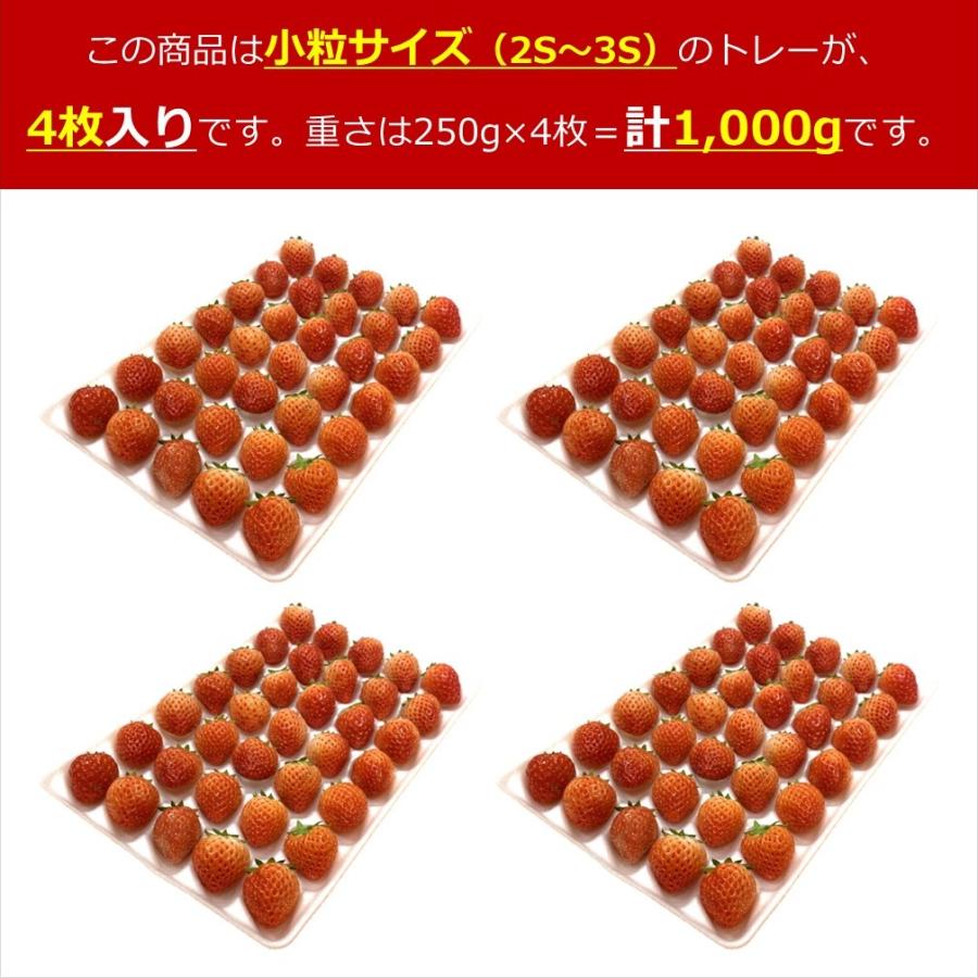 【送料無料】【まとめ買い】生食できる夏イチゴ 6月〜11月発送 小粒 2S〜3Sサイズ 4パック 1kg 秋田県産 なつあかり ご自宅用 生食用 ケーキ・スイーツ用 : 夏イチゴ農園 ...