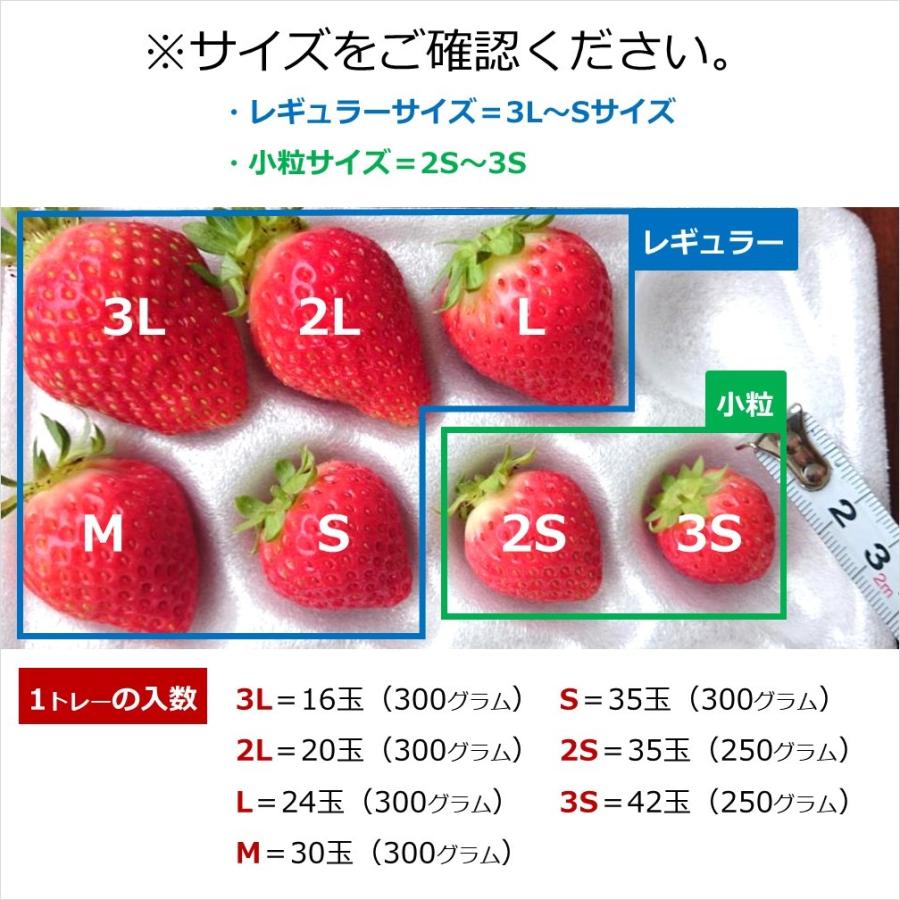 【送料無料】【まとめ買い】生食できる夏イチゴ 6月〜11月発送 小粒 2S〜3Sサイズ 4パック 1kg 秋田県産 なつあかり ご自宅用 生食用 ケーキ・スイーツ用 : 夏イチゴ農園 ...