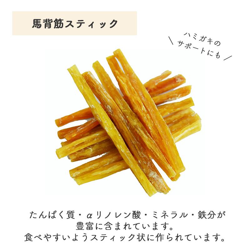 MARCO 犬用おやつ 馬背筋 スティック 40g 無添加 無着色 天然素材 100％ナチュラル ダイエット アレルギー対応 犬 おやつ 馬肉 マルコ FLF : ペットシーツ専門店スタイル ...