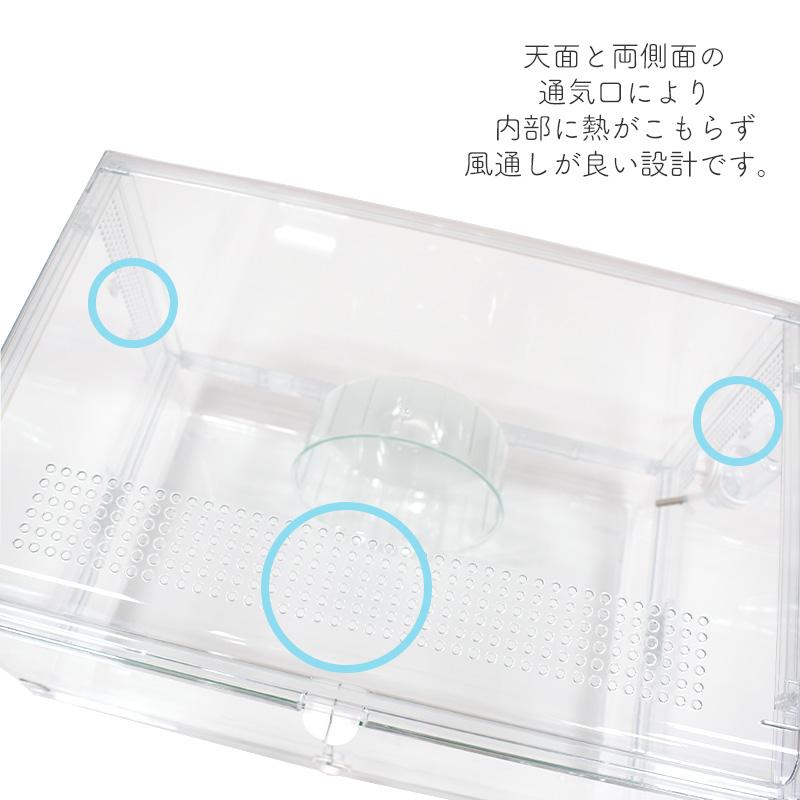 GEX GEX Harmony 小動物用飼育ケージ グラスハーモニー 600N ランウェイセット ランウェイ・柔ごこち（床材）・ハーモニーハウスM 付属 600 N ジェックス : ペット ...