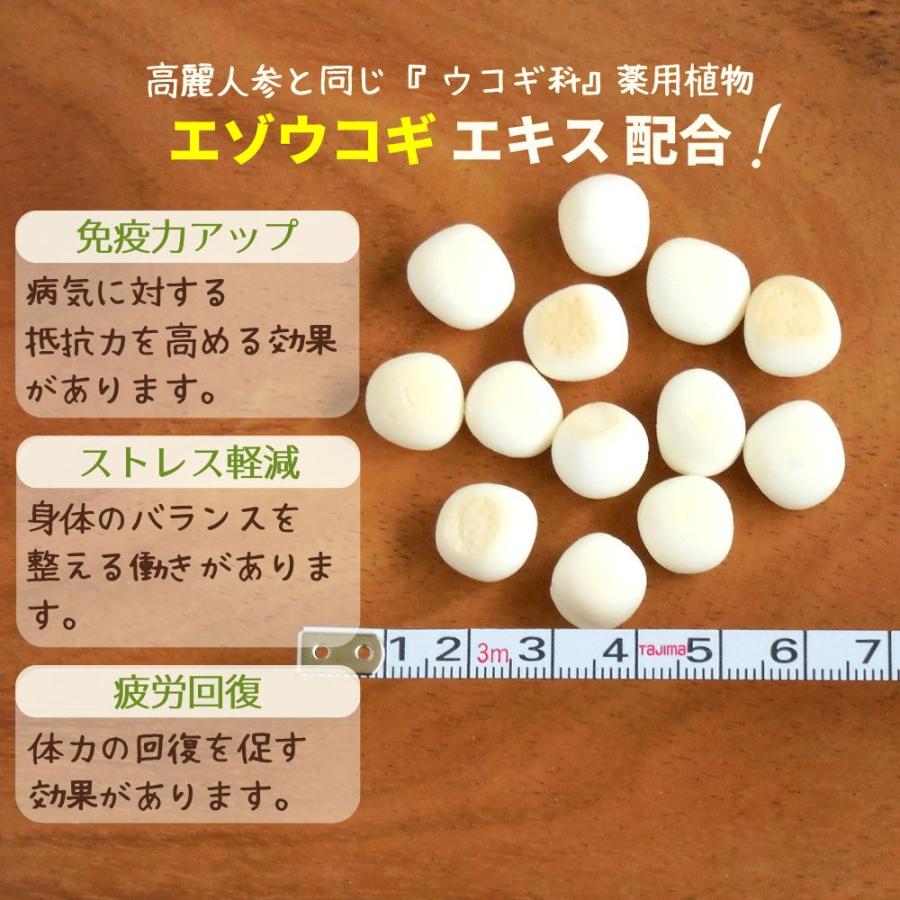 犬 おやつ 無添加 国産 ベストパートナー 山羊ミルクボーロ 60g×3袋セット 山羊ミルク ヤギミルク さつまいも ボーロ トリーツ 小型犬 中型犬 大型犬 日本製 : sw2404-3 ...