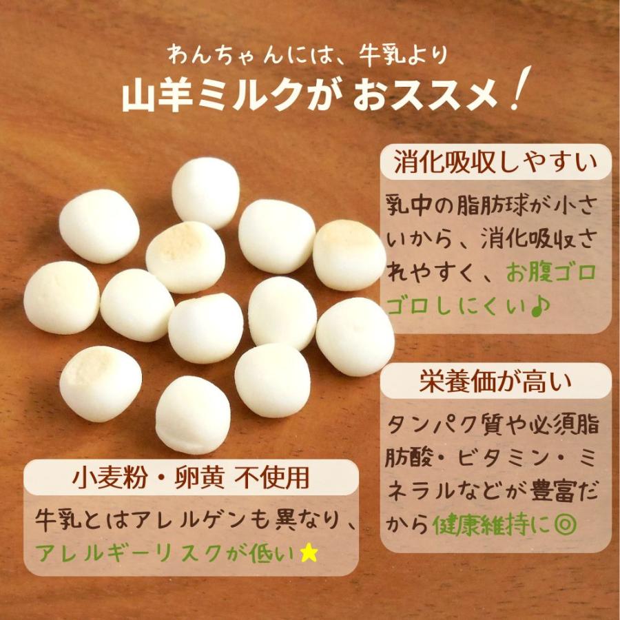 犬 おやつ 無添加 国産 ベストパートナー 山羊ミルクボーロ 60g 山羊ミルク ヤギミルク さつまいも ボーロ トリーツ 小型犬 中型犬 大型犬 シニア 日本製 : sw2404 ...