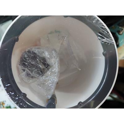 自動で水やりしてくれる北欧デザインのスマート水耕栽培キット BOTANIUM(ボタニアム) (スモークホワイト) : 多肉植物ワールド - 通販 - Yahoo!ショッピング