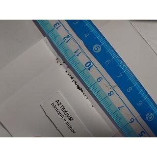 アズテキウム・ヒントニー・マイナー(Aztekium hintonii v. minor) : 多肉植物ワールド - 通販 - Yahoo ...