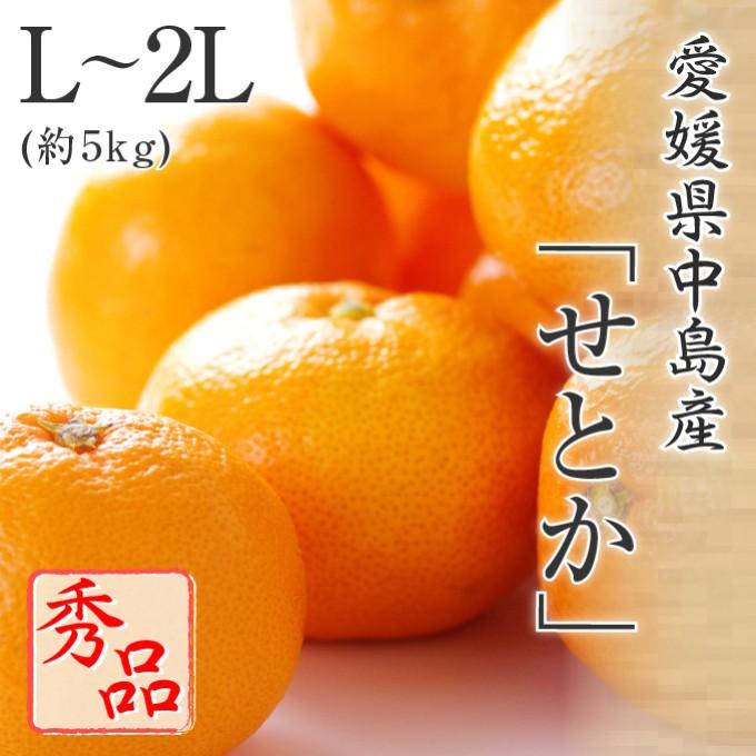 せとか 秀品 L〜2L 5kg 愛媛県産 化粧箱入り みかん ミカン フルーツ ギフト 3月上旬より順次発送 : 水琴果楼 - 通販 - Yahoo!ショッピング