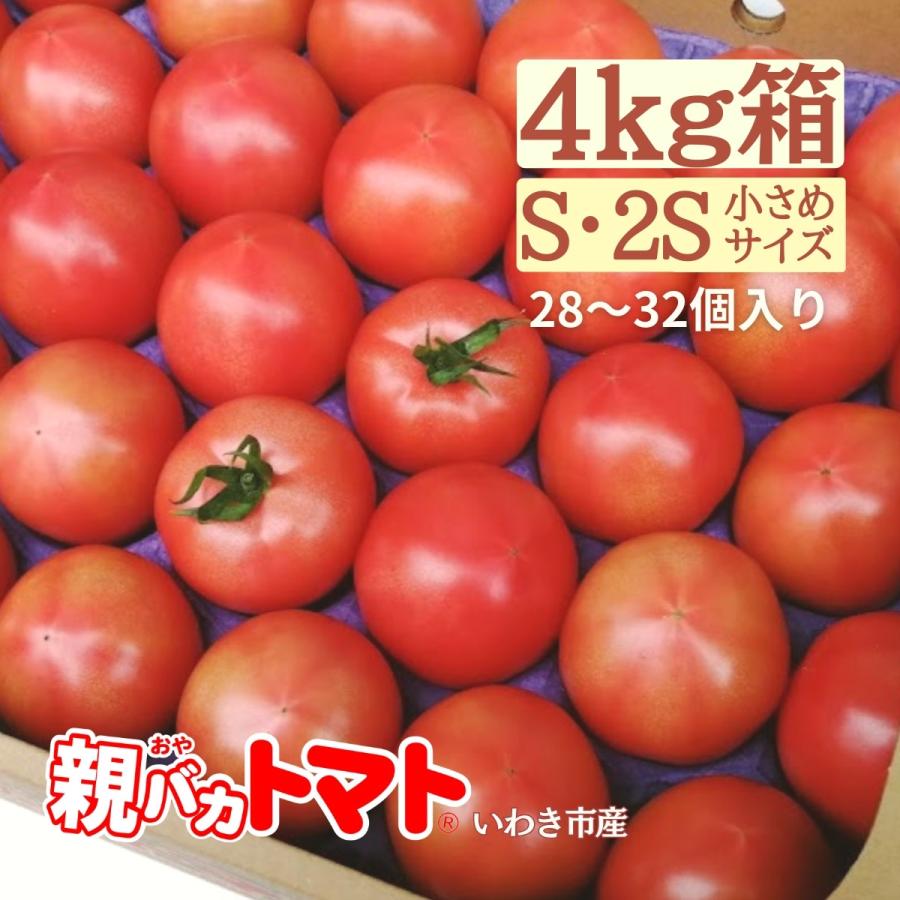 親バカトマト 約4kg 小さめS・2Sサイズ 28〜32個入り いわき市産 ギフト 農園直送 助川農園 : 親バカトマト 助川農園Yahoo!店 - 通販 - Yahoo!ショッピング