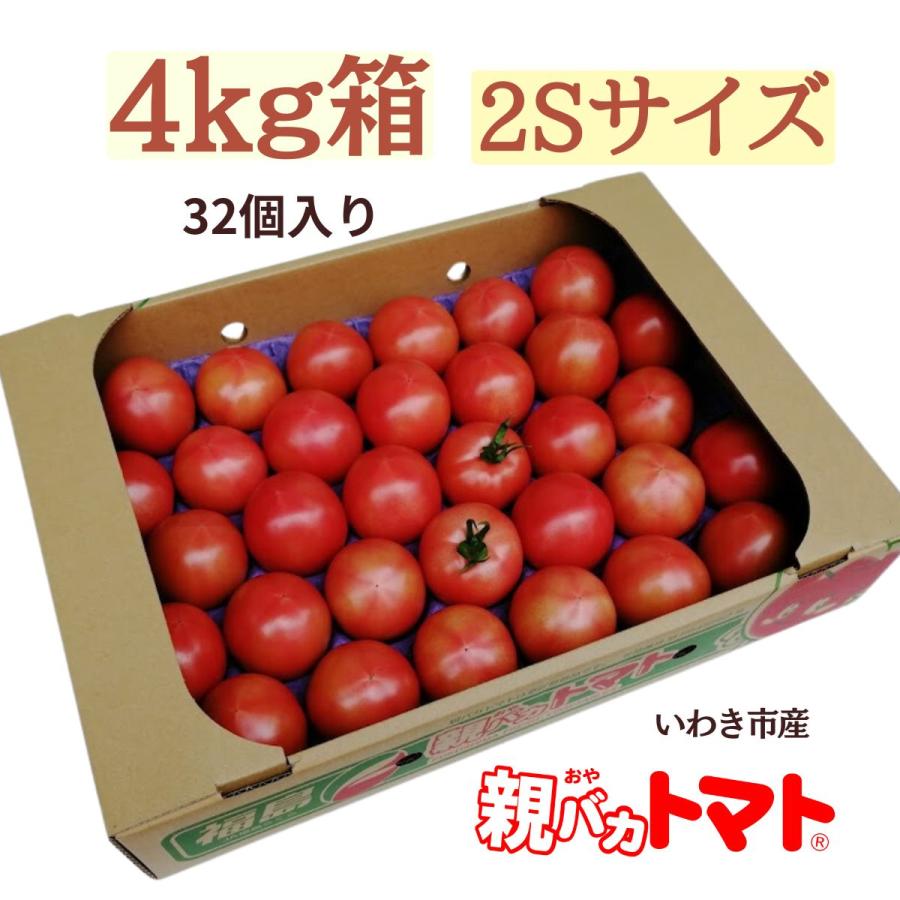 親バカトマト 約4kg 小さめS・2Sサイズ 28〜32個入り いわき市産 ギフト 農園直送 助川農園 : 親バカトマト 助川農園Yahoo!店 - 通販 - Yahoo!ショッピング