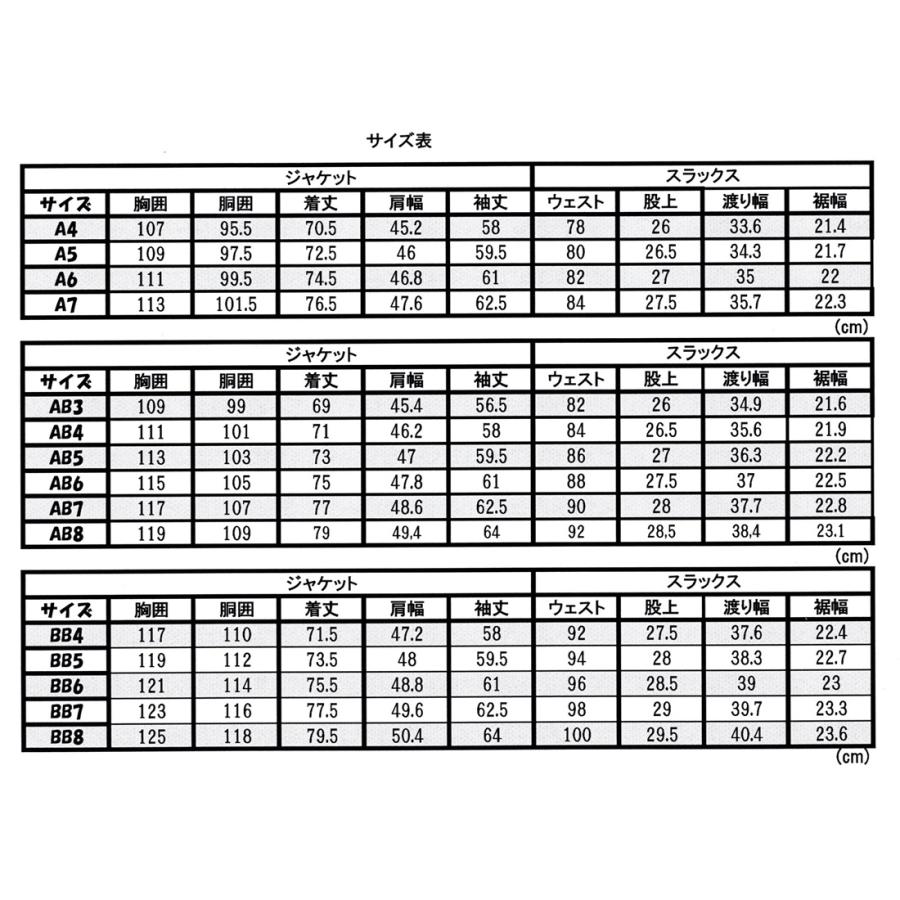 2024 メンズビジネススーツ ネイビー 秋冬 A4,A5,A6,A7 AB3,AB4,AB5,AB6,AB7,AB8,BB4,BB5,BB6,BB7,BB8 2ボタン2タック ゆったり ...