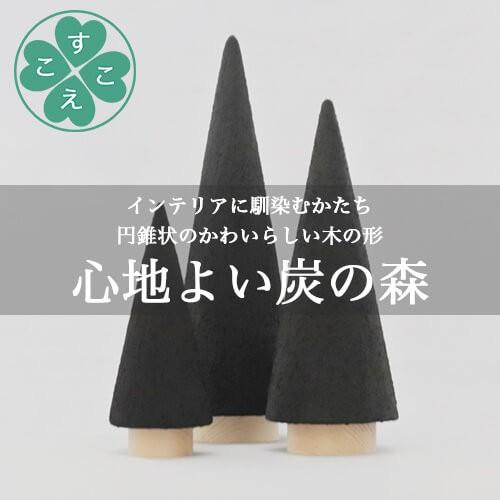 炭 インテリア 脱臭剤 森の炭の森 Lサイズ :g-interior7:すこやかECO通信 - 通販 - Yahoo!ショッピング