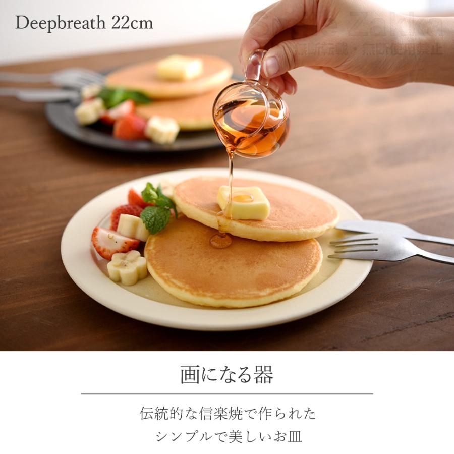 アーネスト DeepBreath 22cm(8.5インチプレート) 信楽焼 陶器 お アーネスト DeepBreath 22cm(8.5インチプレート) 信楽焼 陶器 お