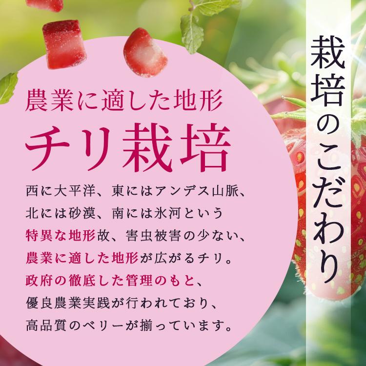 冷凍ストロベリー チャンク 500g 2袋〜4袋 当日出荷 1kg 1.5kg 2kg 無添加 ストロベリー イチゴ カット ダイス 濃厚 業務用 送料無料食品 チリ スミフル : バナナの ...