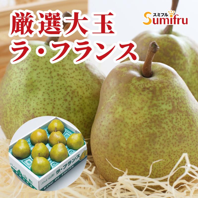 山形県産 ラフランス 3kg 8〜9玉入り 3L〜4Lサイズ 山形県天童市 厳選大玉 プレゼント ギフト 棚作り栽培 糖度14度以上 【12/2(水)ごろのお届け】 : バナナのスミフル ...