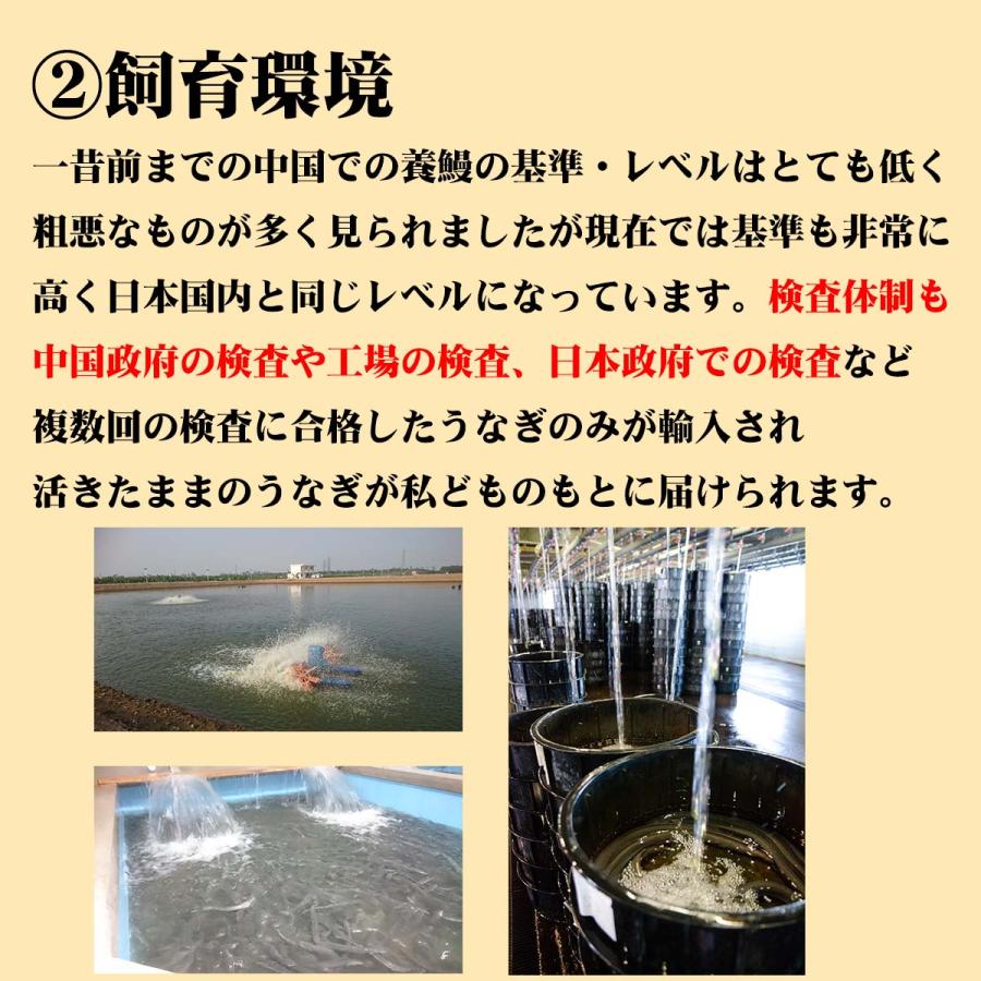 炭焼うな富士 うなぎ丼用 蒲焼き カット うなぎ お茶碗2食分160gパック 中国産ニホンウナギ 完全国内自社加工(お茶碗1杯分80g2パック/タレ・山椒） : unagidon-2-c ...