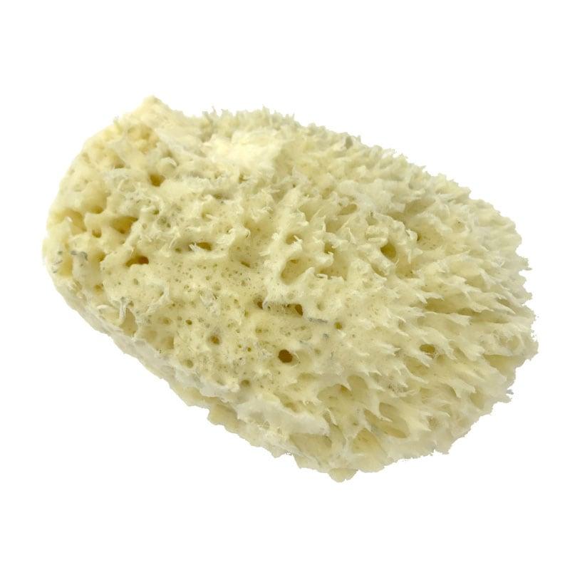 海綿(中)・423-1037 : 銀座ソレイユ Yahoo!店 - 通販 - Yahoo!ショッピング